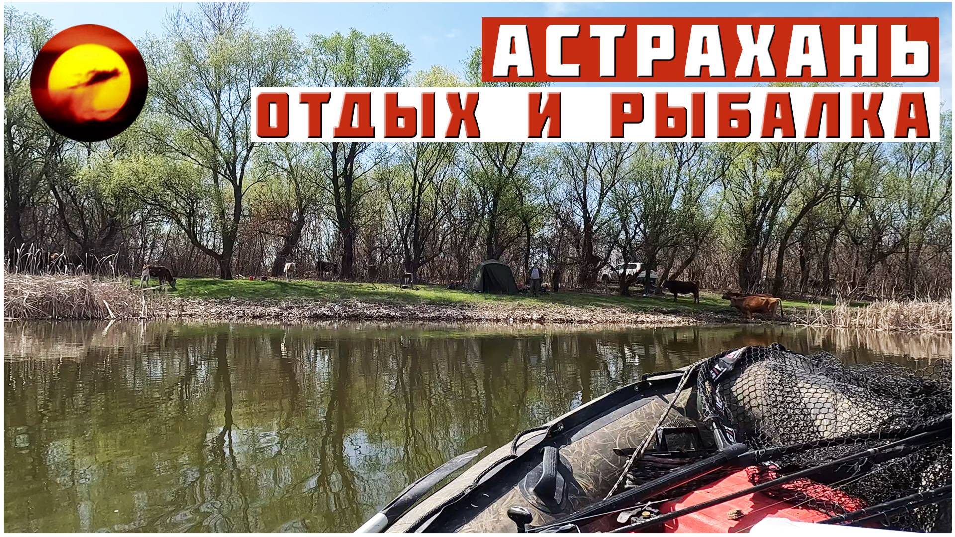 ОТЕЦ Приехал на Сазана, НО ЛОВИТСЯ ВОБЛА / Астрахань! Рыбалка и Отдых