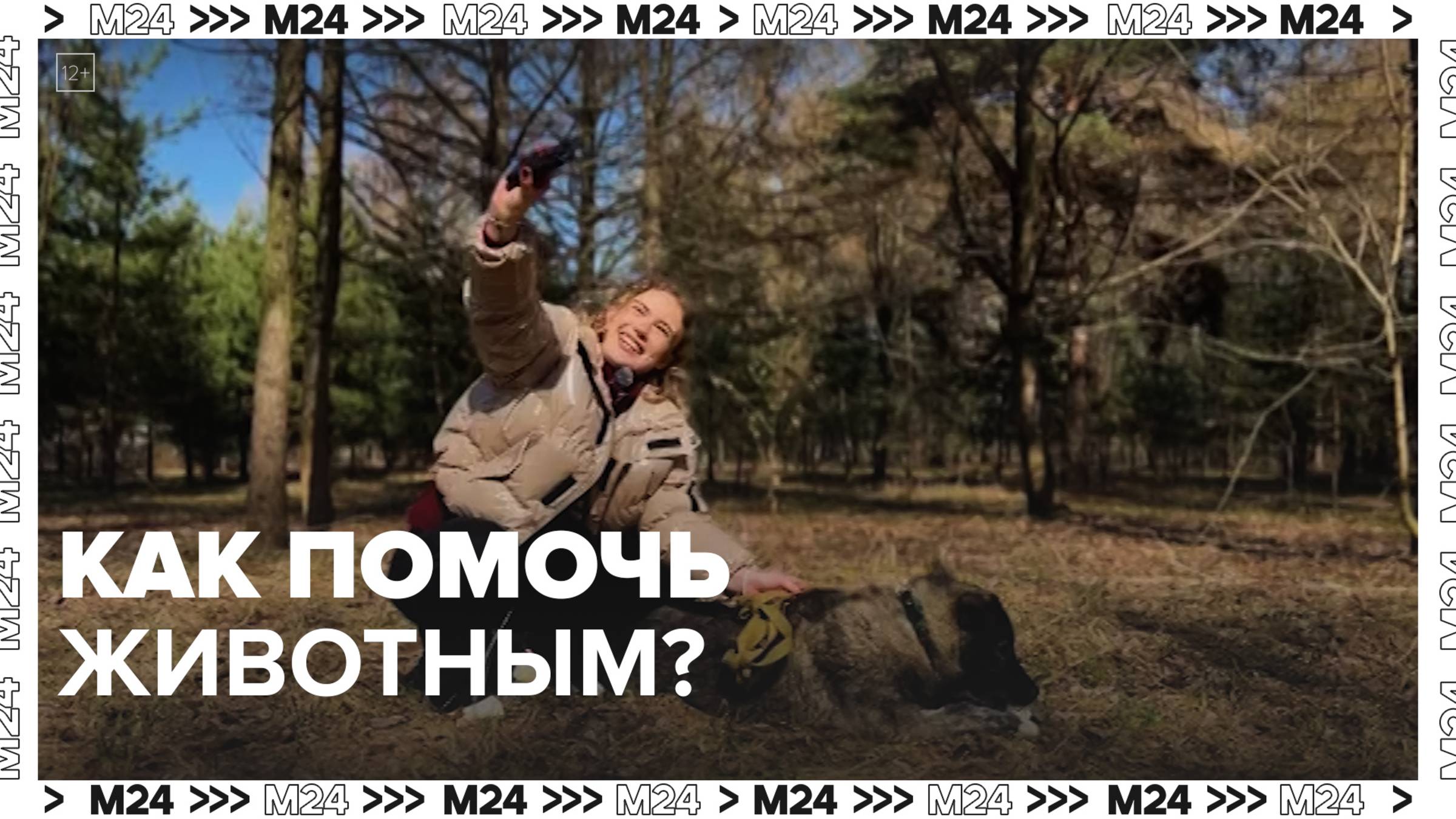 Как помочь брошенным животным?|Инструкция по применению — Москва 24|Контент