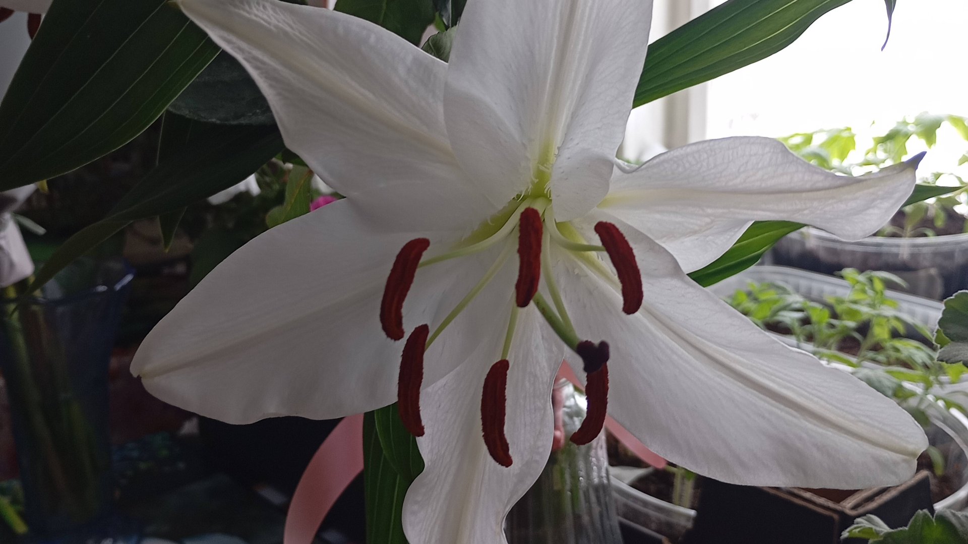 Про Дзен. Я приняла решение. Рутуб_ Подарок 🎁