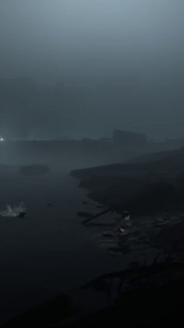 Боже мой!!! меня догнала сумасшедшая собака