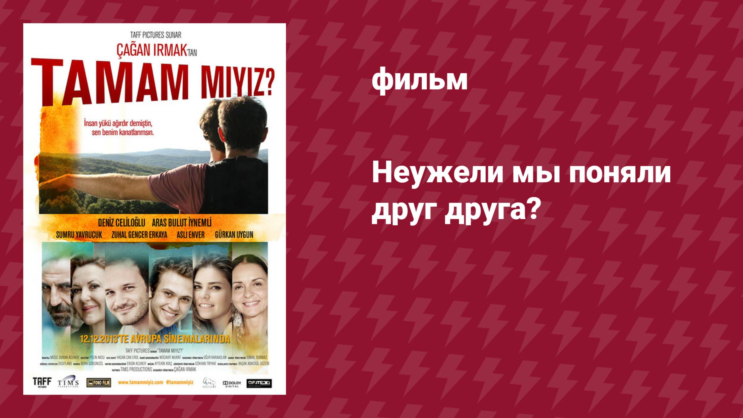 Неужели мы поняли друг друга? (фильм, 2013)