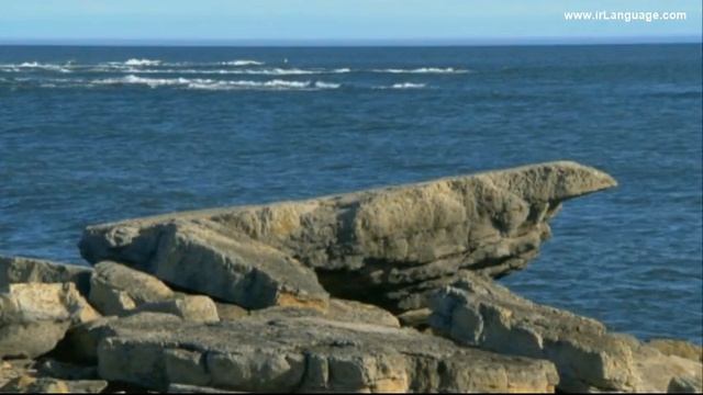 Speakout 2nd intermediate Unit-10