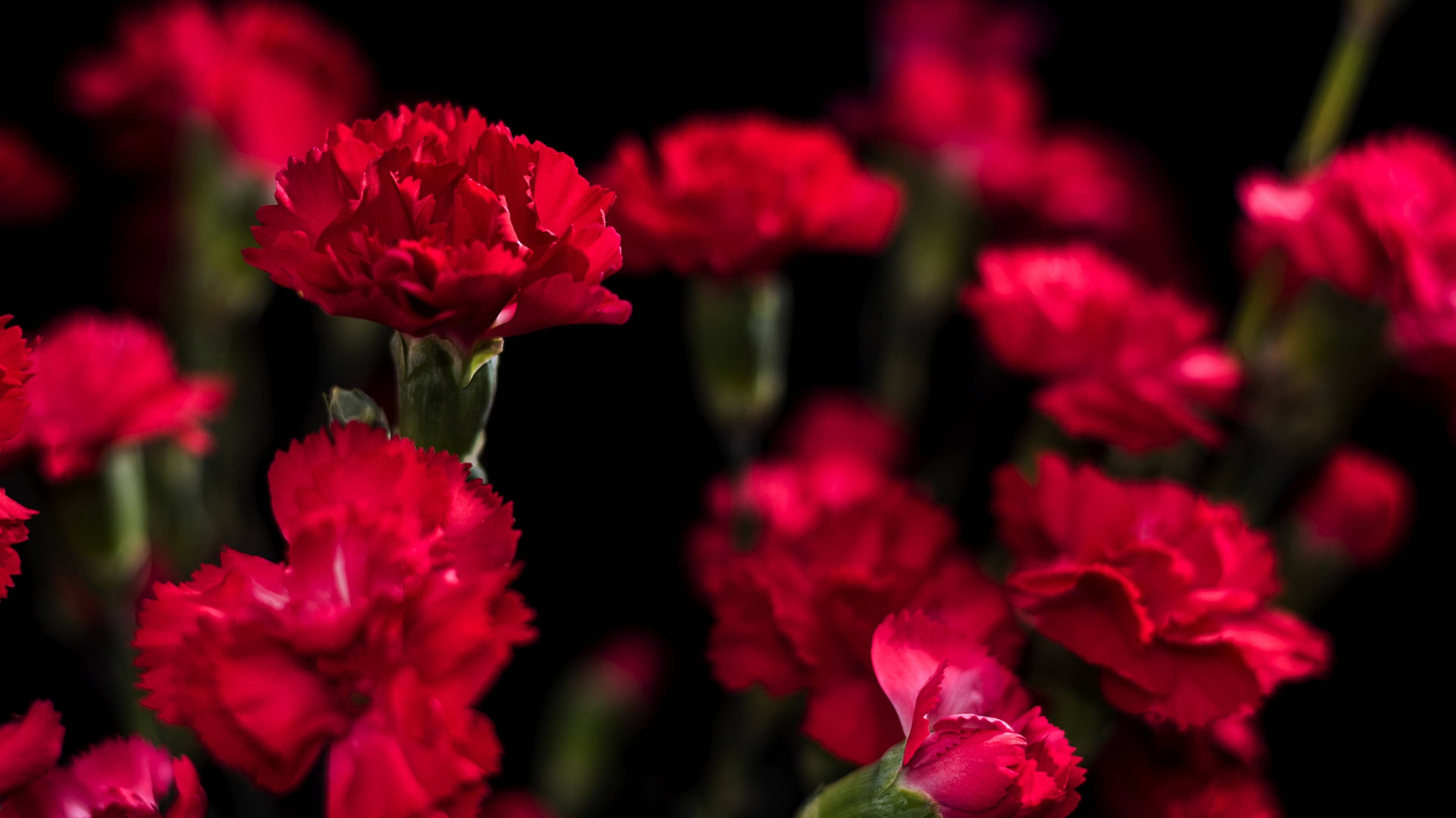 Памяти  моего  лучшего  друга  и  соавтора   Сергея  Воробьёва -Царствие тебе небесное