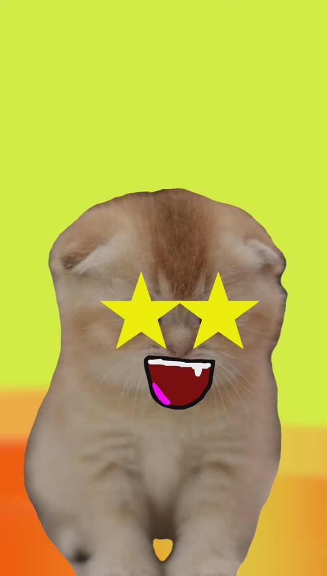 Недели котёнок Shorts (22)