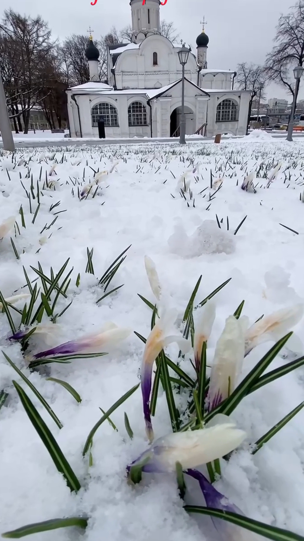 Все нормуль ,планов нуль😁😻
Зима в Москве и Московской области 😥