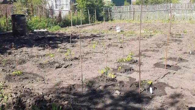 Поставили новое окно. Красим стулья.