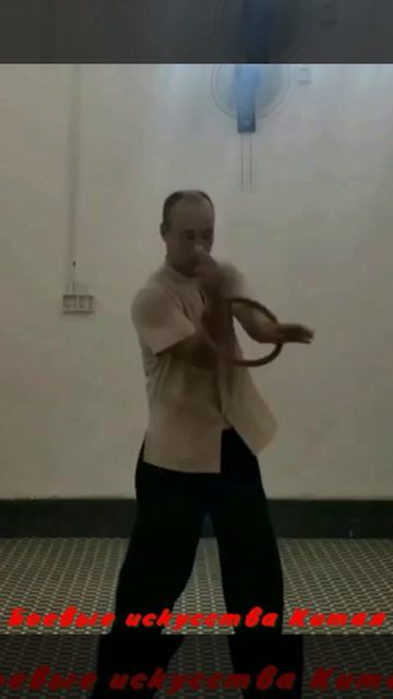 Упражнения с кольцом Вин Чун (4)