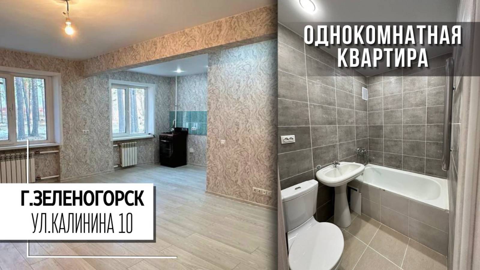 ОБЗОР 1-комнатная Калинина 10 г. Зеленогорск Красноярский край