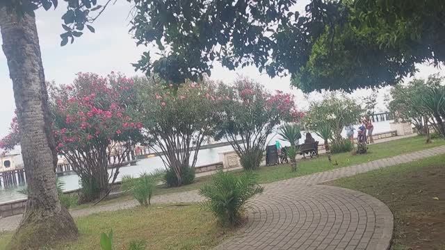 Город Сухум (Абхазия) / Центр -  набережная