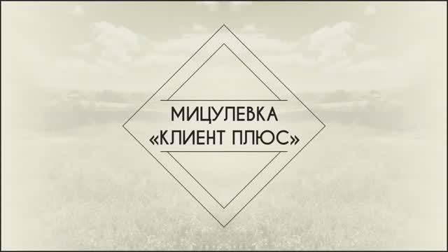 Сахалинская область, Корсаковский район, с. Мицулевка, ул. Первомайская, д. 98-А
