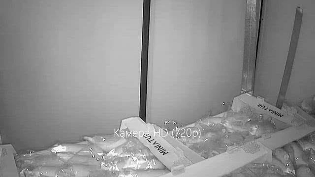 Грузоперевозки - Контроль сохранности груза при перевозке - HD (720p)