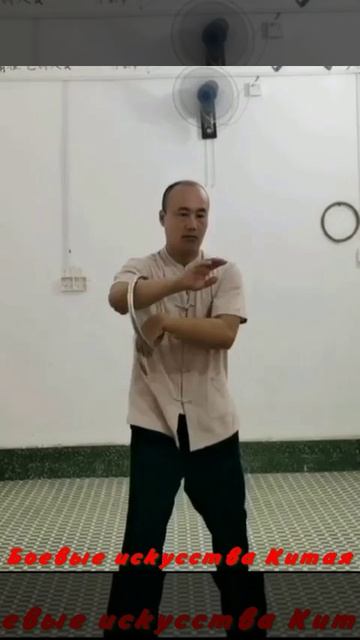 Упражнения с кольцом Вин Чун (8)
