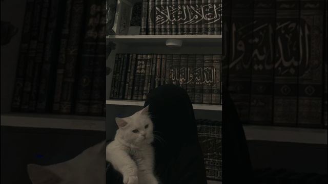 Красивый Нашид2025г ناشيد الجميلة❤️✨