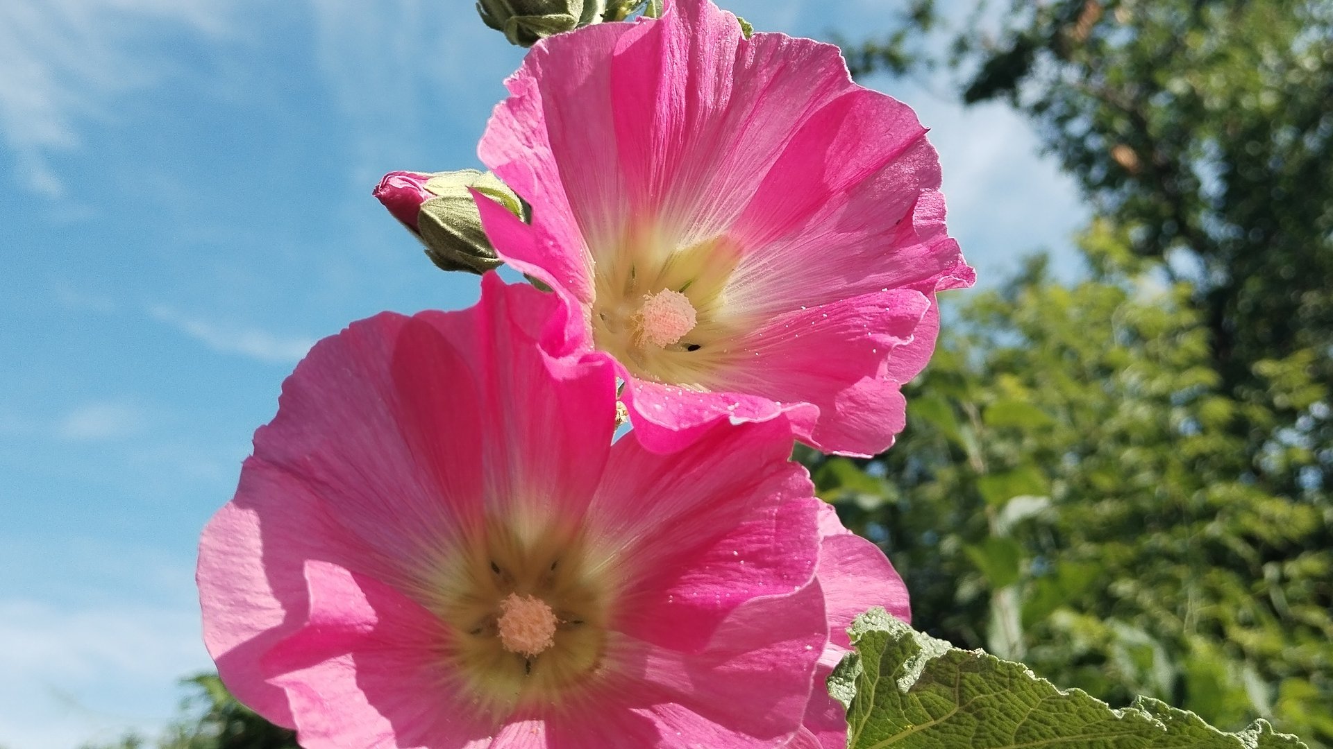 Вязание Спасёт Мир ❤️ Мои Готовые Шедевры