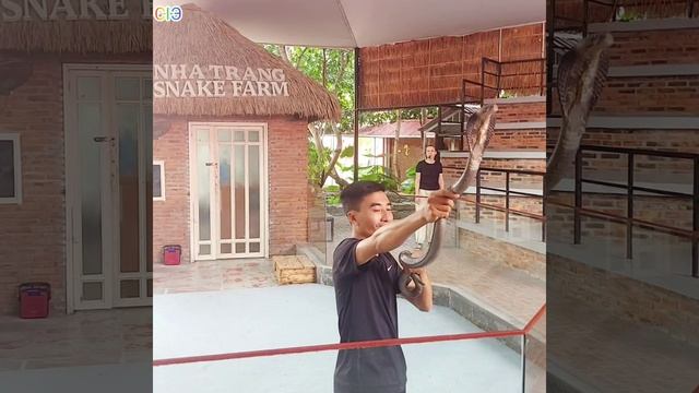 Змеиная ферма Нячанг Вьетнам.mp4