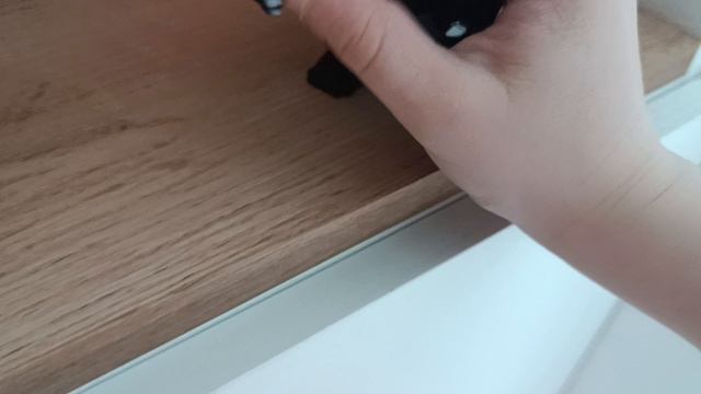 день рождения у нашей горрилы