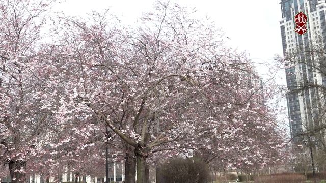 6-дневный пост в месяц Шавваль | «Динуль Ислам»