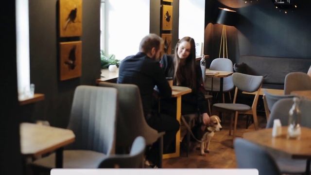 🐾 Как оформить ветеринарный паспорт без лишних хлопот?