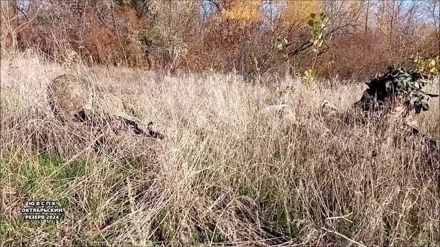 Хроники Казачьих сборов ОСЕНЬ 15.10.24