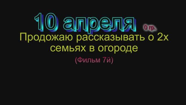 Семьи в огороде (от зимы до зимы),   Сюжет 9й