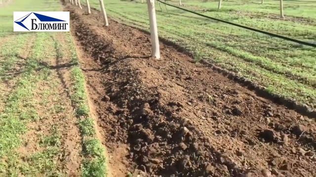 Фреза садовая навесная БЛ-110