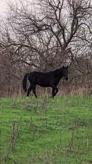Красота природы 😉