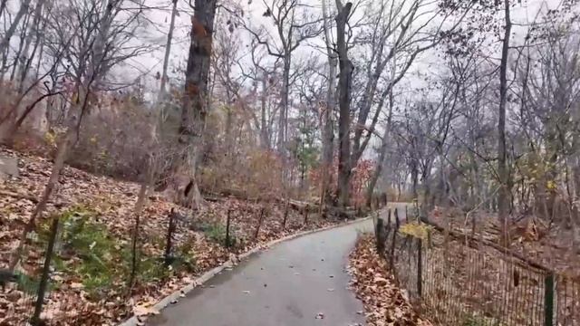 System Of A Down — Lonely Day (Прогулка)