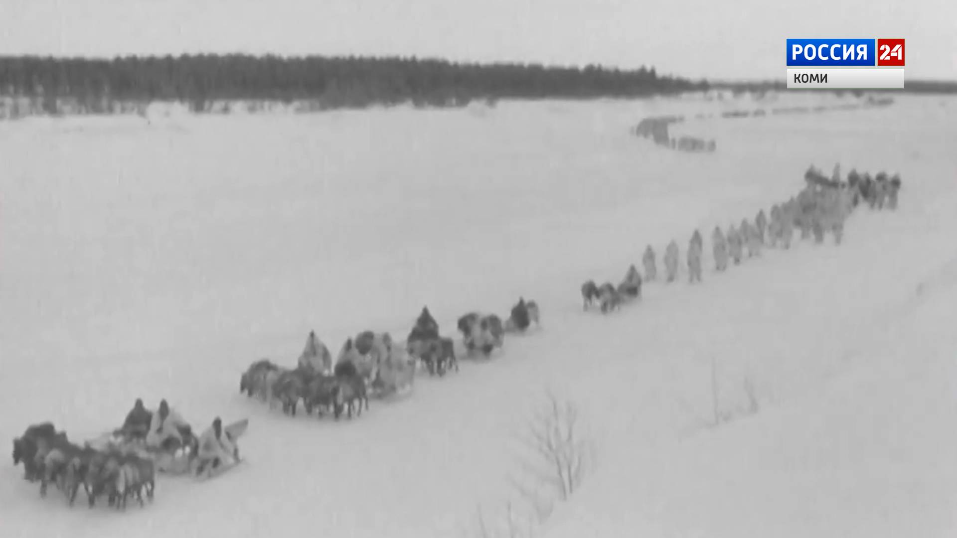 Специальный репортаж. "По следам оленно-транспортных батальонов"