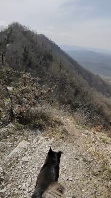 гребень(пила) горы Папай ⛰️