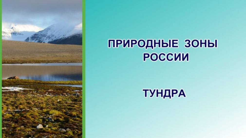 Природные зоны России : тундра (Окружающий мир, 4 класс)