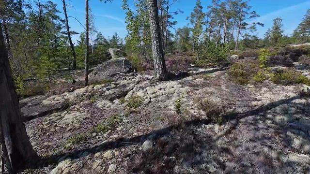 Карелия , Онежское озеро , Петроглифы .