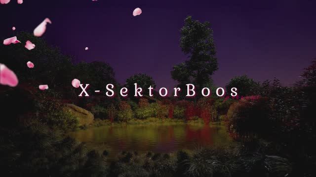 X-SektorBoss 199 - Жизнь коротка
