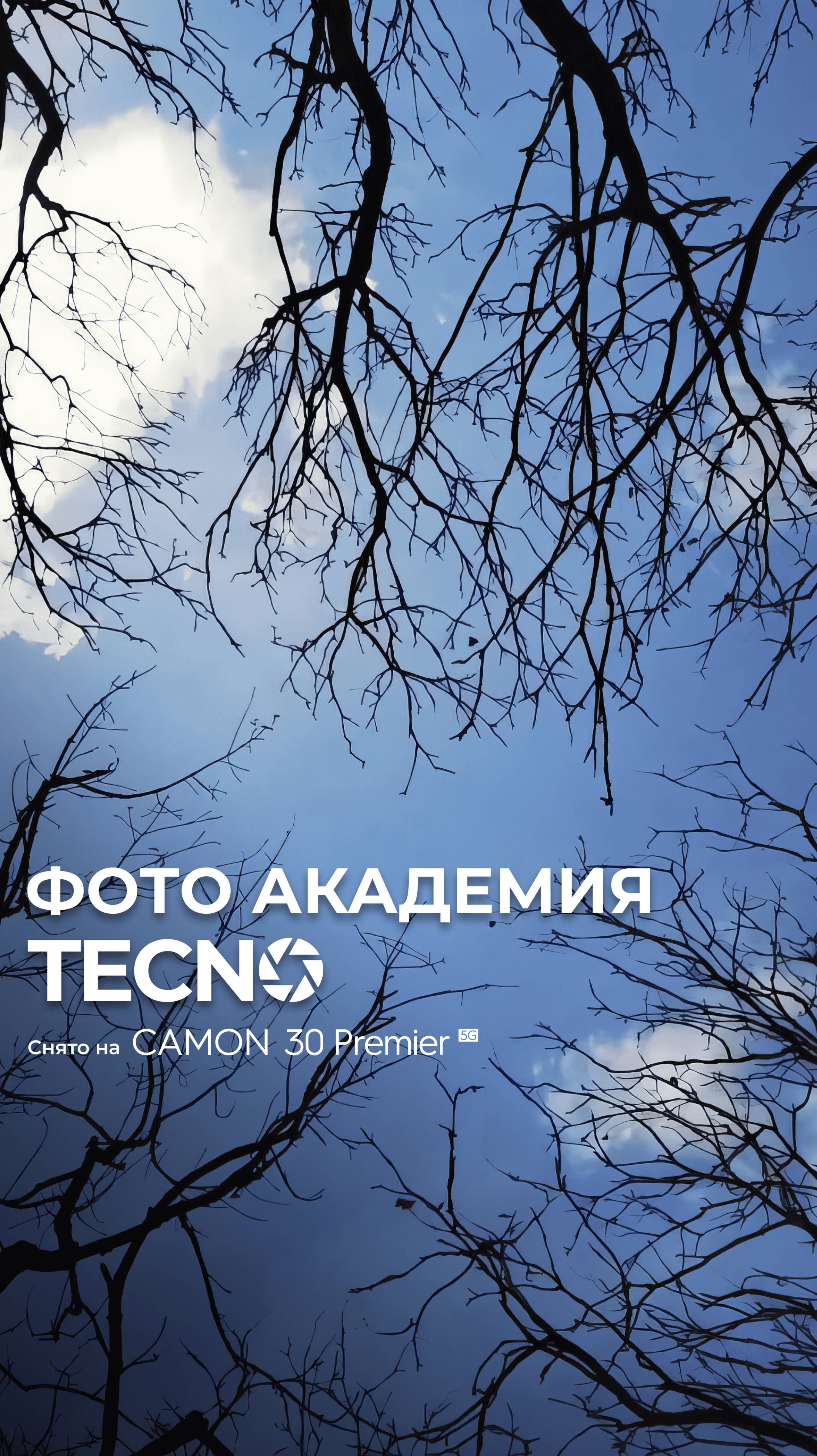 Идея для видео в зимнем лесу #TECNO #ФотоАкадемия