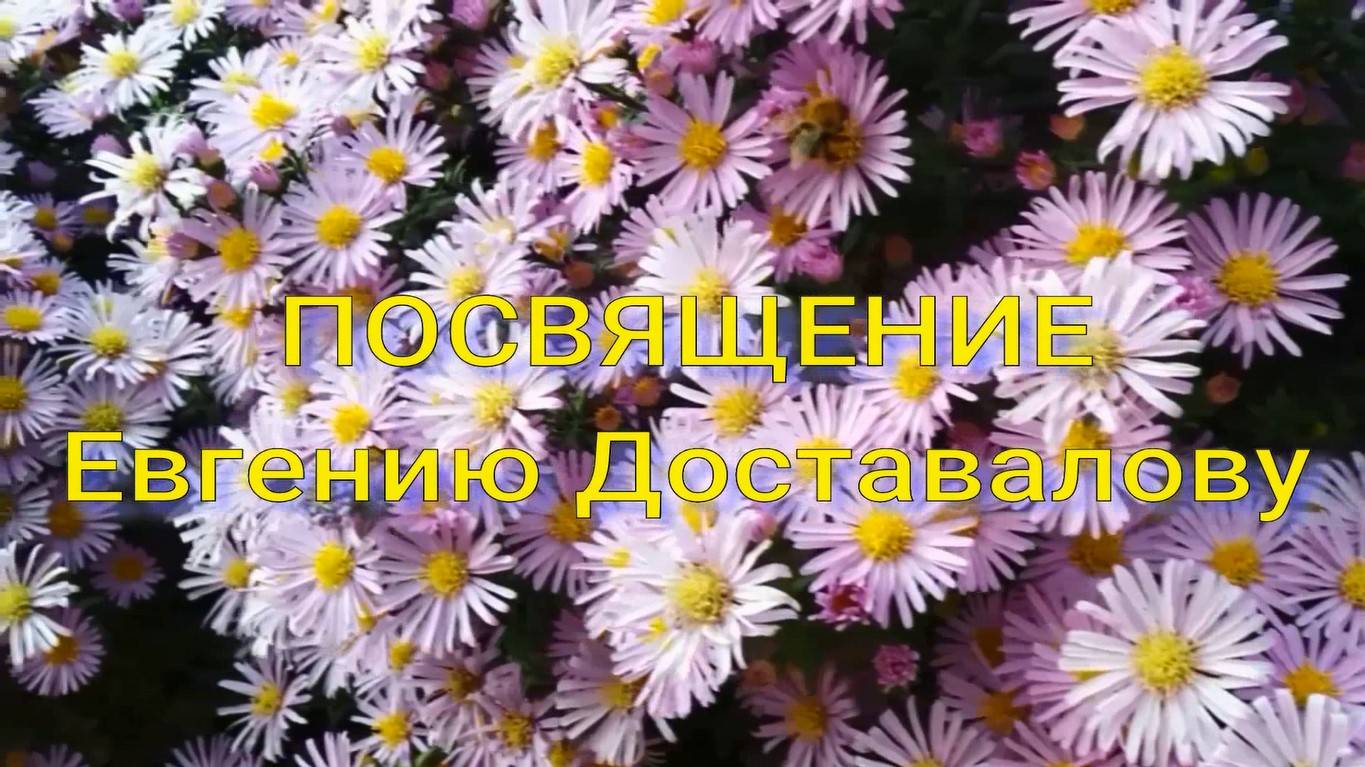 Посвящение. Стихи и декламация - Светлана Гривина, монтаж - Евгений Доставалов