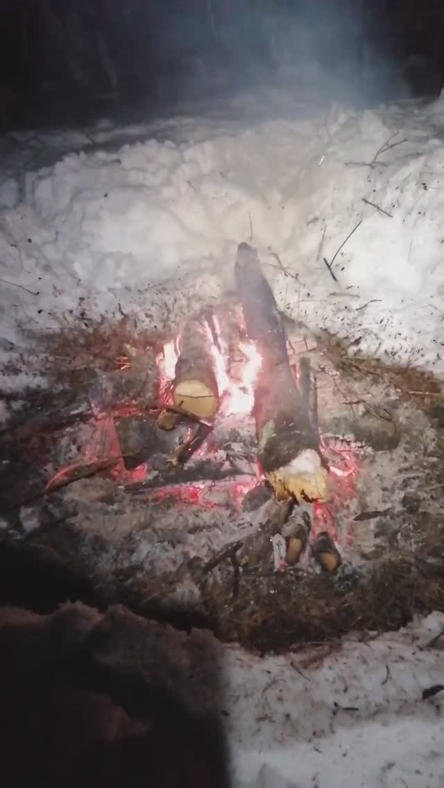 Зима , лыжи , кострик .