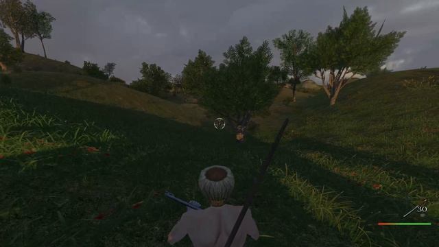 mount & blade warband napoleonic wars #2