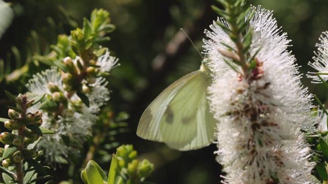 11980288_3840_2160_25fps