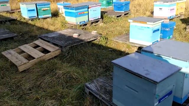 Итоги сезона_Подготовка к зимовке_2021 год