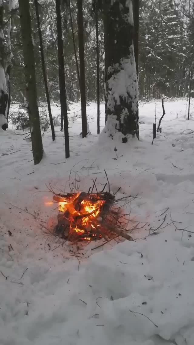Зимний пикник .