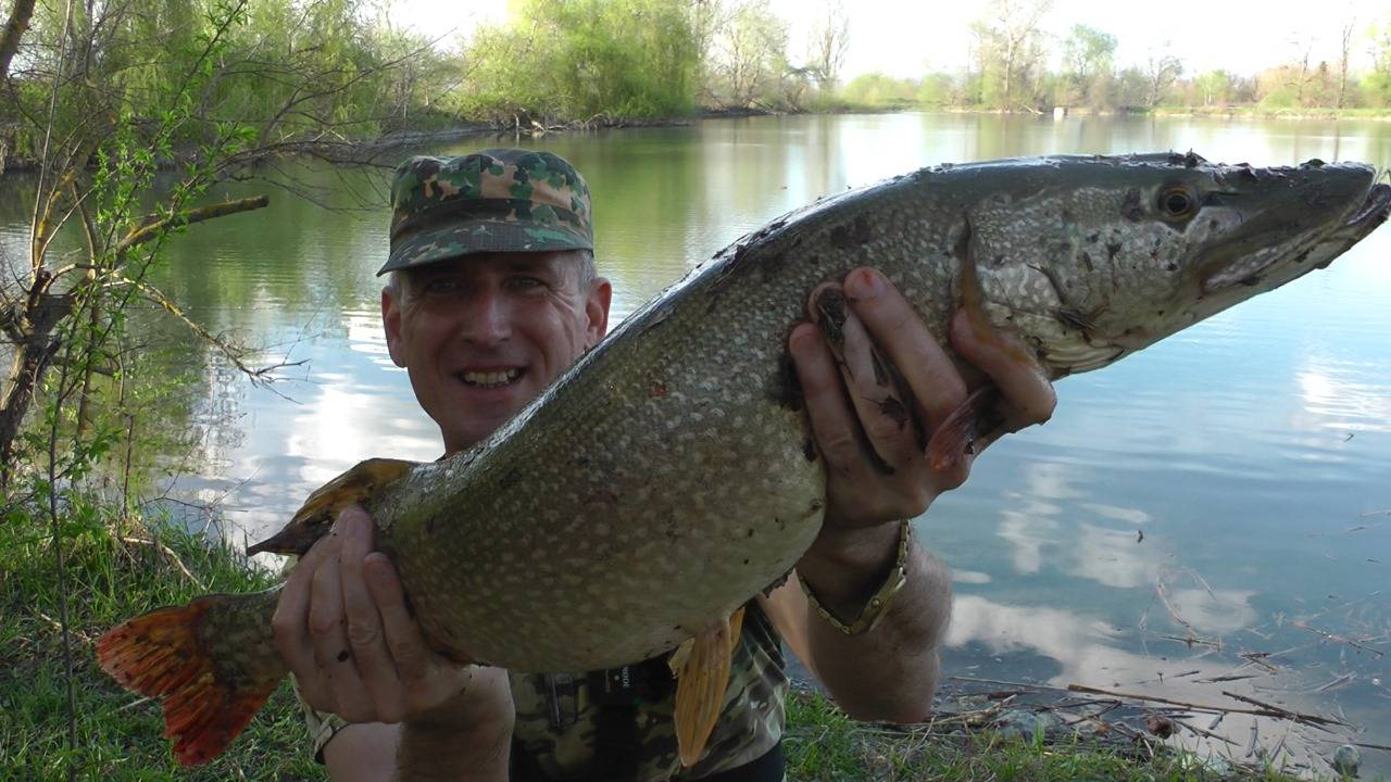 ТОЛЬКО ТРОФЕИ!!! ОЧЕНЬ РЕДКИЕ КАДРЫ!!!