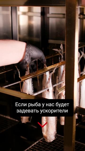 Как правильно загрузить рыбу в термокамеру М4А? Ускорители в деле! #бизнес #советы #еда