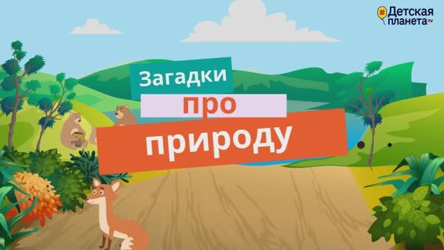 Загадки про природу #ТатьянаБокова