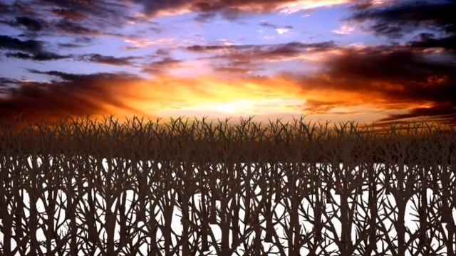 S.T.A.L.K.E.R. Великая война 8 серия