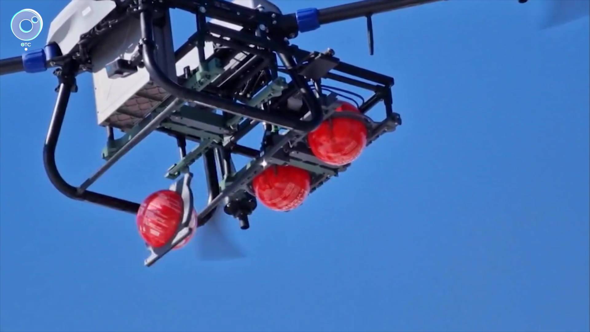 Программа "Научная среда" | 09 апреля 2025 | Телеканал ОТС