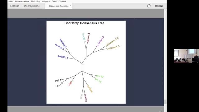 XXXVII чтения памяти Л. Л. Кутиной и Ю. С. Сорокина 28–29 марта 2025 г. 5