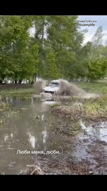 НаНПЖ клип-шоу #6