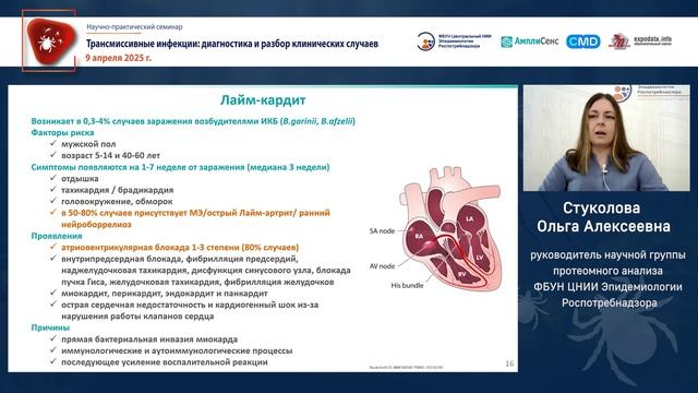 Необычные проявления клещевого боррелиоза – методы специфической лабораторной диагностики*