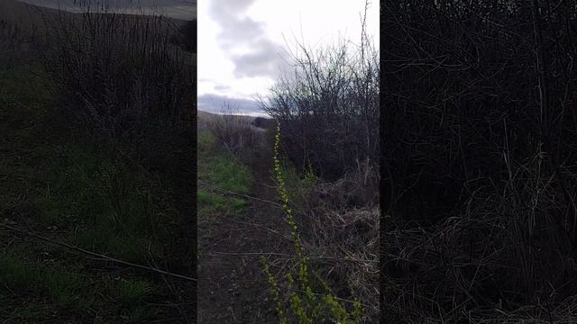 Бог любит и прощает всех.