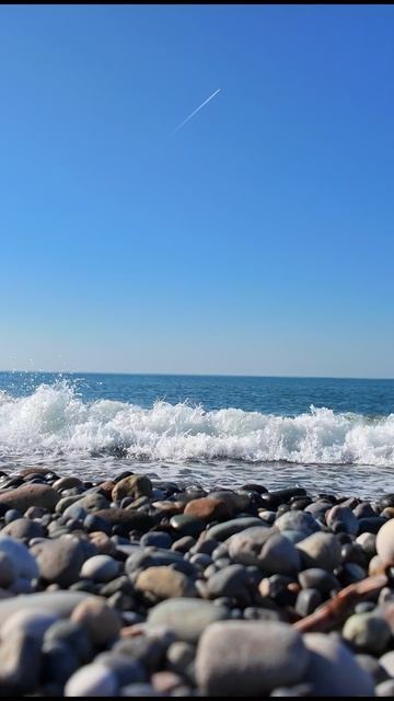 Батуми – город, в который хочется возвращаться! 🏝️🏙️
