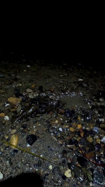 #рак #рыбалка